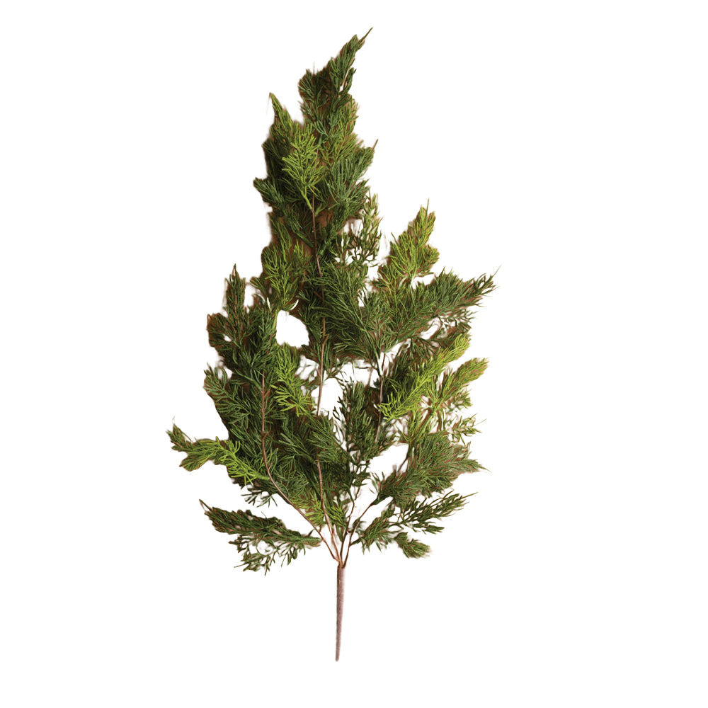 Kalalou Artificial Cedar Spray – Smyth Jewelers