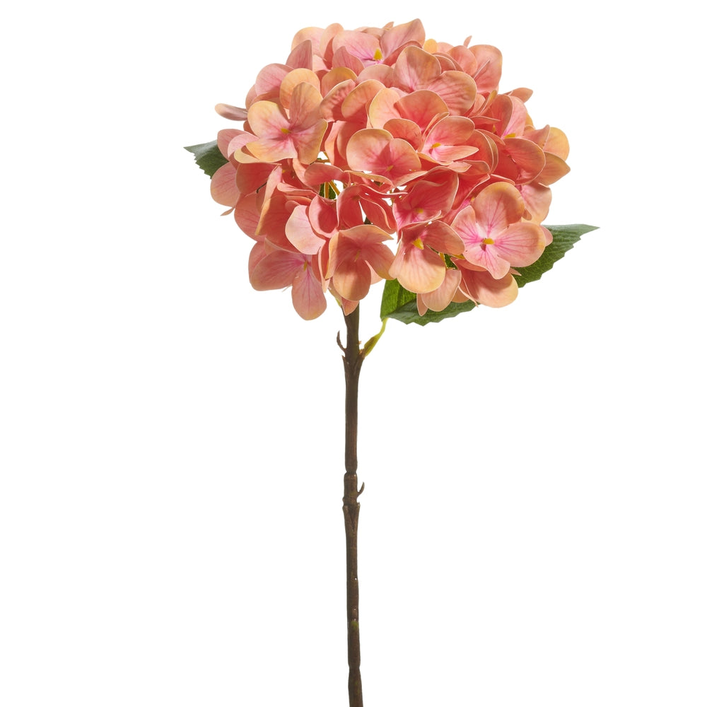 Raz Imports 18" Coral Hydrangea Stem – Smyth Jewelers