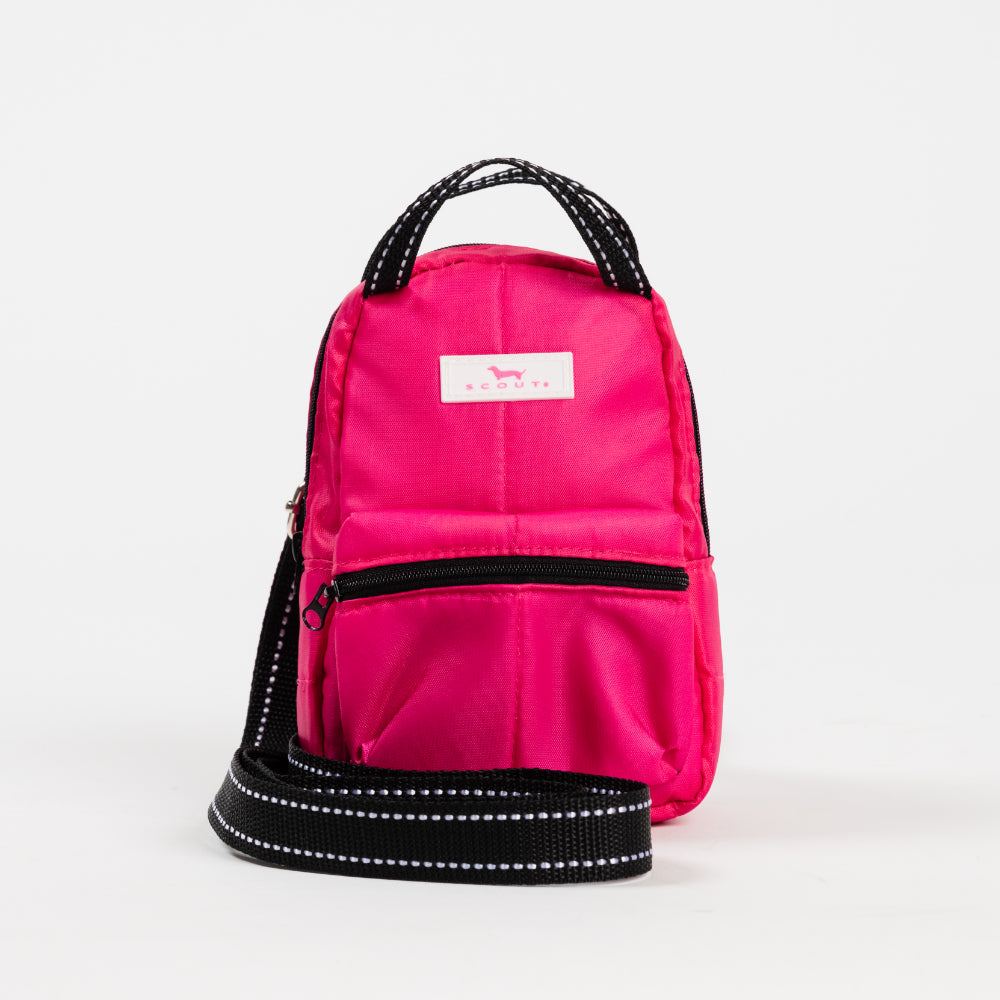 Scout Globetrotter Backpack - Fall 2025 – Smyth Jewelers